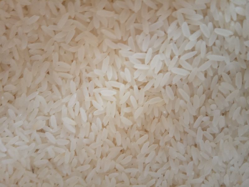 Annappoorani Agro Foods in Chennai - Retailer of Rice Mill & 1121 white ...