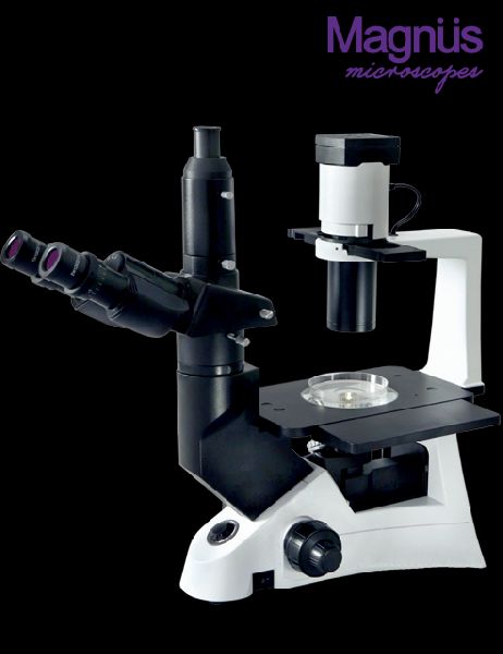 Magnus Inverted Microscope at Best Price in Delhi | Magnus Analytics