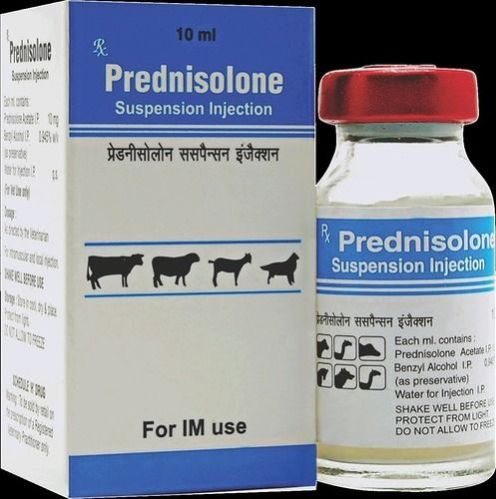 Prednisolone Accetate Injection, For To Animals, Veterinary at Best ...