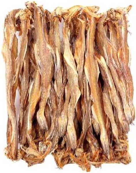 Dried Lotia Fish, For Human Consumption, Style : Preserved at Rs 100 in ...