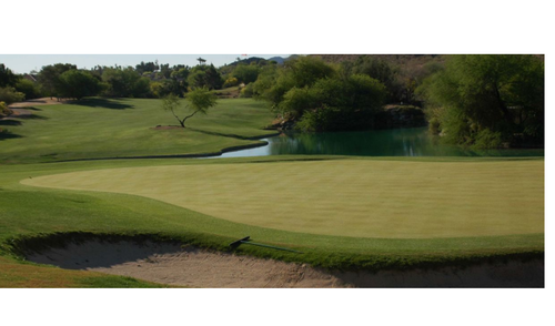 Golf Course Sand, Packaging Type : PP Bags, Packaging Size : 50 kg at ...