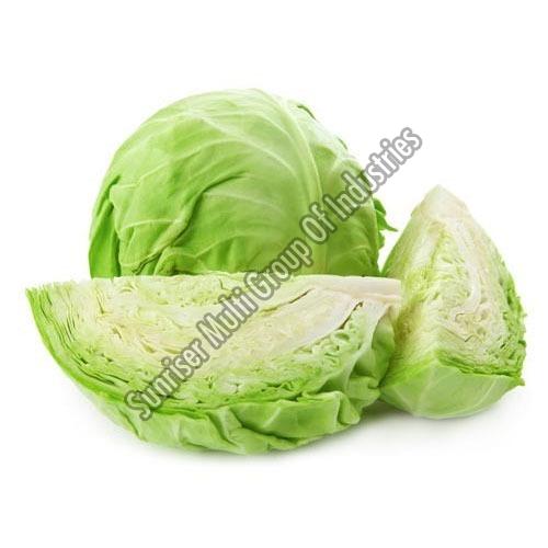Fresh Cabbage at Rs 15 / Kilogram in Nagpur | J T Export and Import