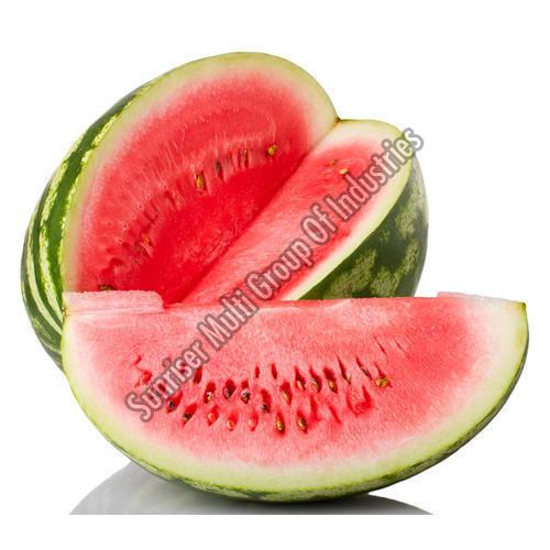 Fresh Watermelon - J T Export and Import, Nagpur, Maharashtra