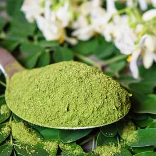 Organic Moringa Powder, Packaging Type : Plastic Packet, Color : Green ...