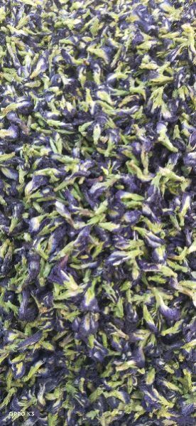 Manufacturer of Dried blue pea & Dried Red Rose Petals | ISWAR FLOWERS ...