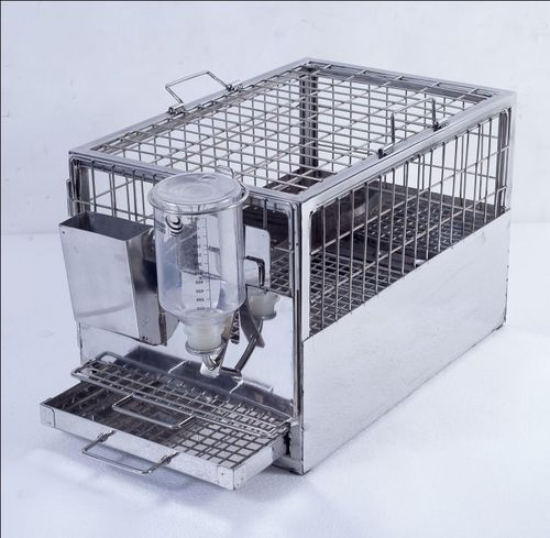 Laboratory Animal Cages by Orchid Scientific & Innovative India Pvt ...