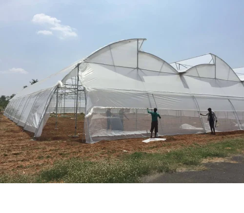 Polyhouse Plastic Sheet at Rs 85 / Square Feet in Nashik | Vedant ...