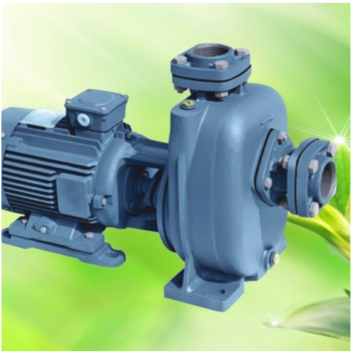 Solid Handling Pump at Best Price in Thane | CNP Pumps India Private ...