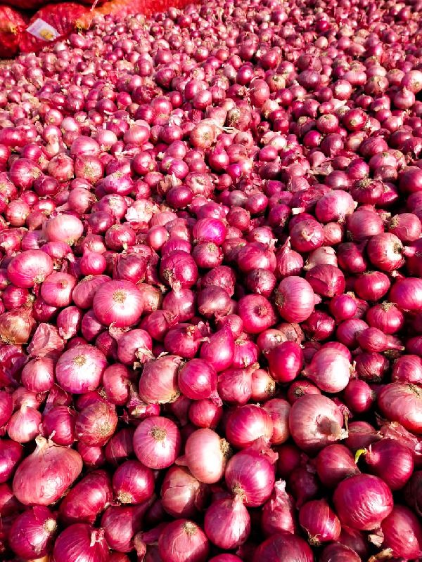 Red onion, Shape : Round - Suriya Traders, Pondicherry, Pondicherry