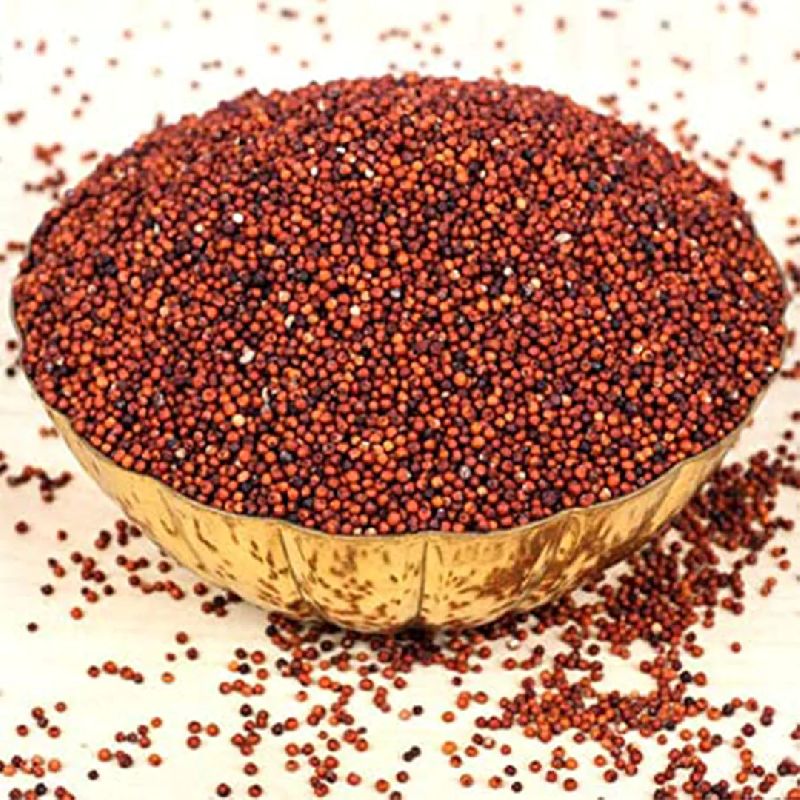 Red Finger Millet - JMD Enterprises, Faridabad, Haryana