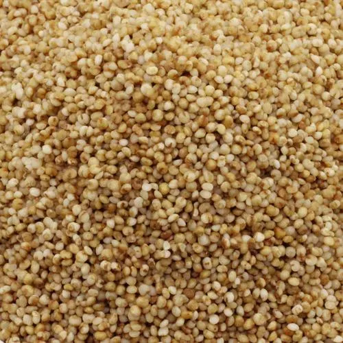 Natural Kodo Millet - JMD Enterprises, Faridabad, Haryana