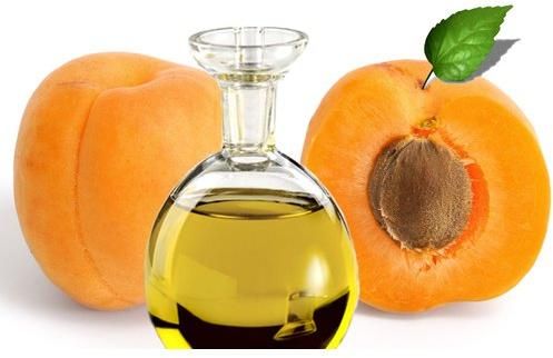 Aromatico Traders Apricot Kernel Oil, Shelf Life : 1year at Rs 1400 in ...