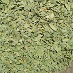 Vv farms in Tiruvallur - Manufacturer of Senna Leaves