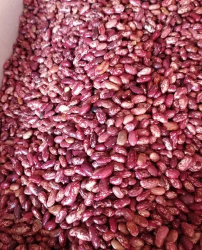 Natural Red Rajma, INR 130 / Kilogram by Seven Overseas from Noida ...