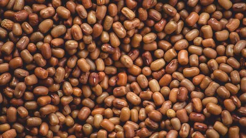 Exporter of Pulses from Jaipur, Rajasthan by Interverse Foods Private ...