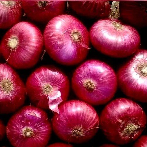 Aqualogic Overseas in Pondicherry - Exporter of Red Onions & Rice