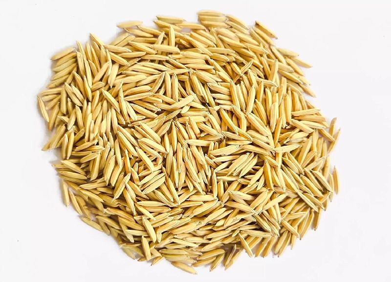 Natural 1692 Paddy Seeds, for Agriculture, Packaging Type : PP Bag ...
