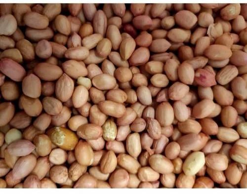 Brownish Raw 80/90 Java Groundnut Kernel, for Butter, Cooking Use ...