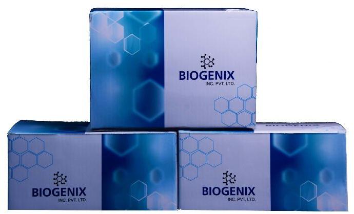 Biogenix Inc Pvt Ltd in Lucknow - Manufacturer of Elisa Kits & rapid cards