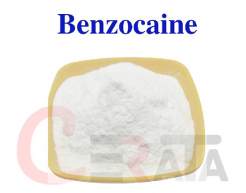 Benzocaine Powder, Application : Commerical - CERATA PHARMACEUTICALS ...