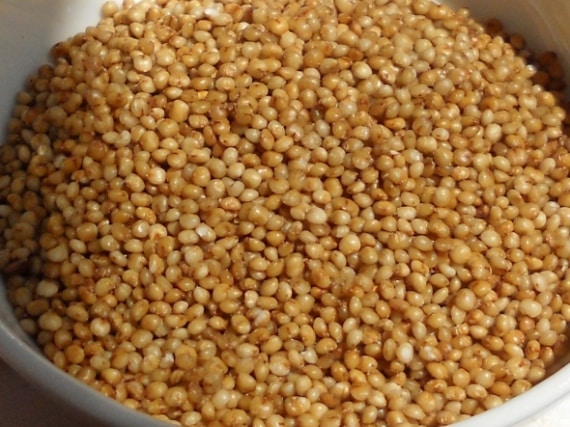 Organic Kodo Millet Seeds - Kisan AgriServices Kendra, Bareilly, Uttar ...
