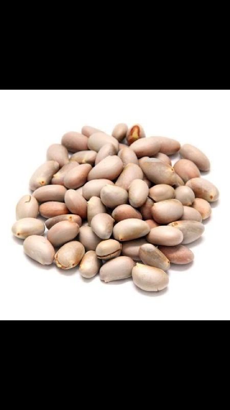 Natural Jack Fruit Seeds - Mahesh Deep, Rayagada, Odisha