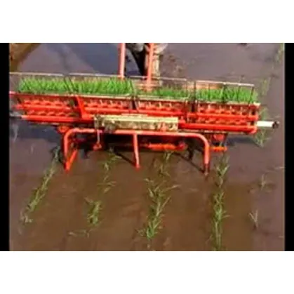 manual 4 row rice trans planter