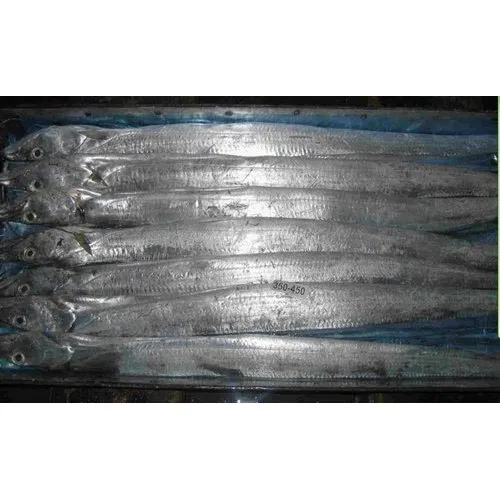 Frozen Ribbon Fish, Packaging Type : Cartons - Seaworld International ...