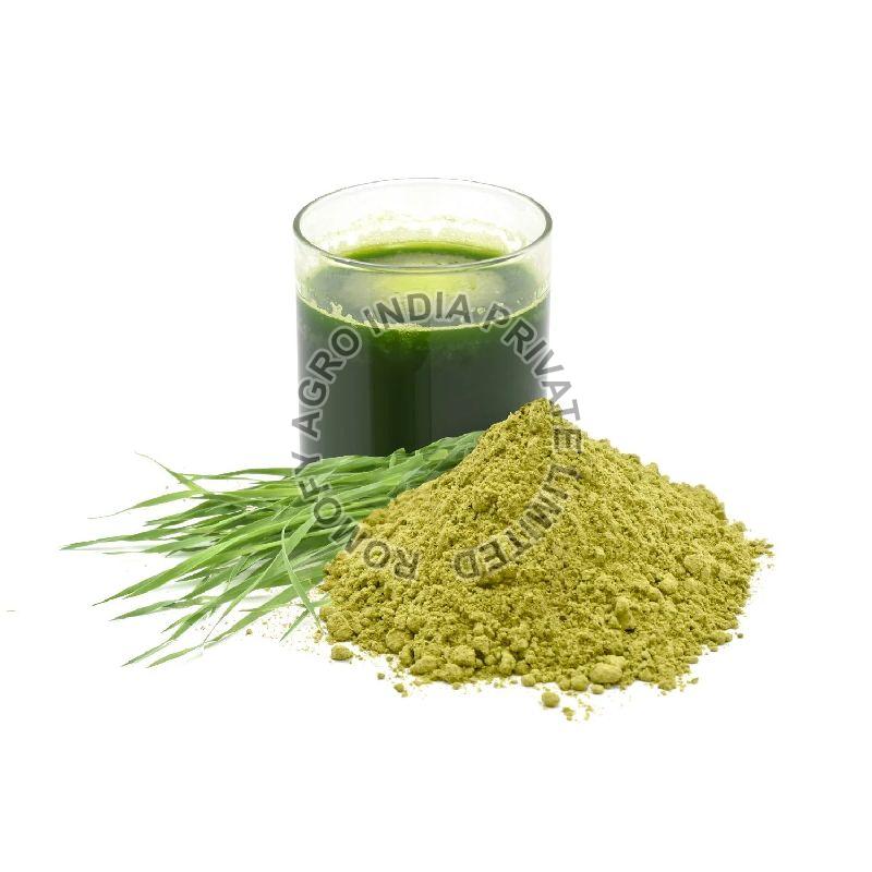 Green Wheatgrass Powder - Romofy Agro India Pvt Ltd, Mumbai, Maharashtra