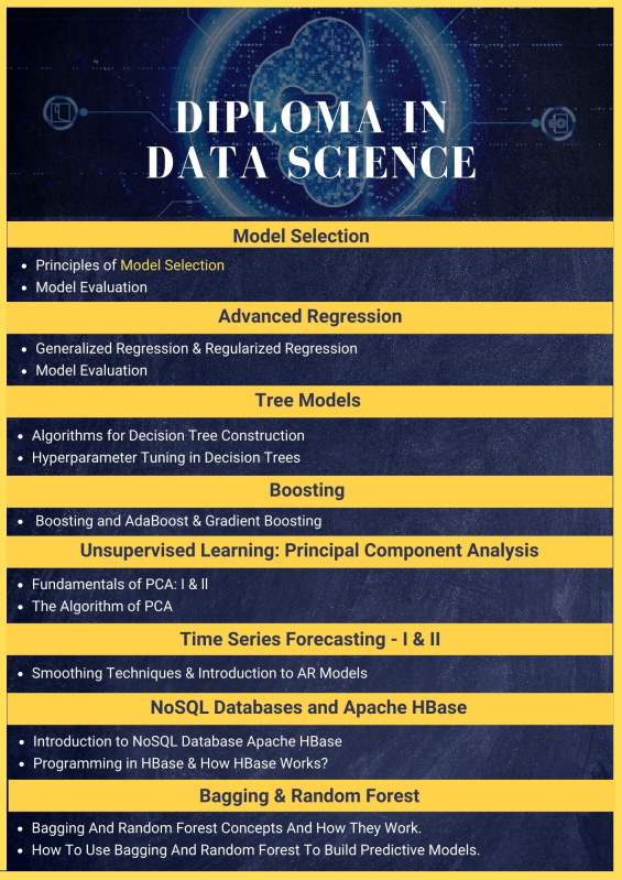 Diploma in Data Science & Machine Learning & Advanced Digital Marketing ...
