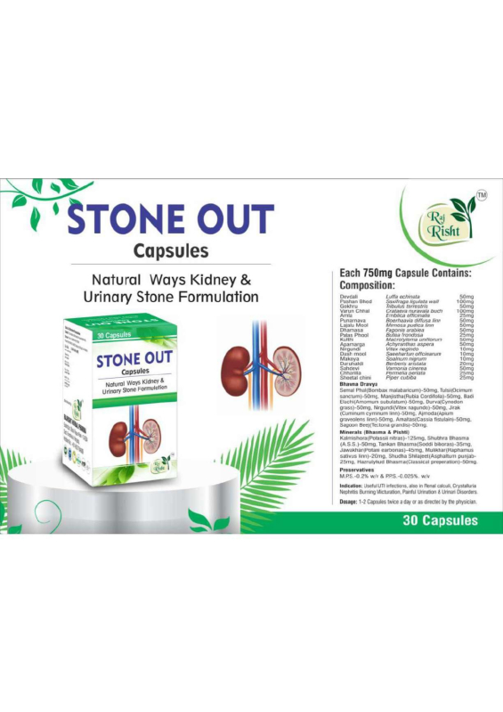 Raj Rishi Stone Out Capsule - RAJRISHT HARBAL PHARMA, Panchkula, Haryana