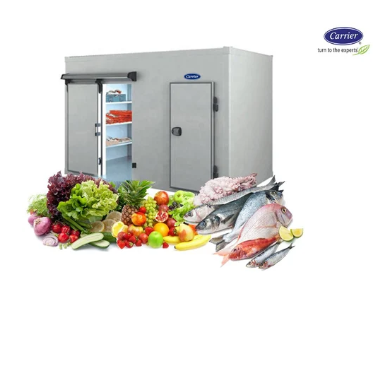 Modular Cold Storage, For Fast Foods, Frozen Food, Sea Foods, Etc at Rs ...