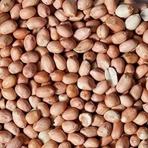 Indian Origin Groundnut Kernels Java 50/60, for Butter, Cooking Use ...
