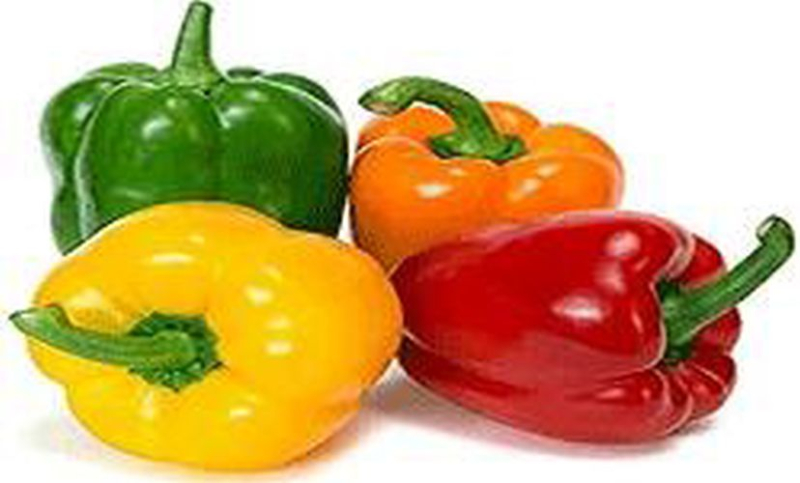 Oval Fresh Capsicum, for Cooking, Packaging Size : 20 Kg - N B AGROSOFT ...