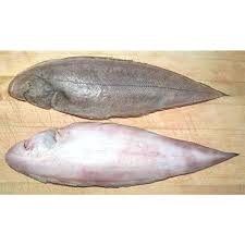 Sole Fish, for Cooking, Human Consumption, Packaging Type : Thermocole ...
