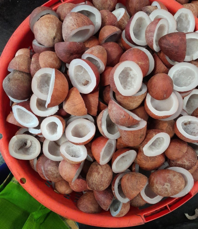 Brown Natural Coconut Copra, for Cosmetics, Medicines, Pooja, Form ...