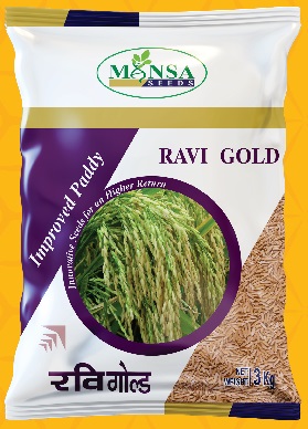 Ravi Gold Improved Paddy Seeds, for Agriculture, Packaging Type : PP ...
