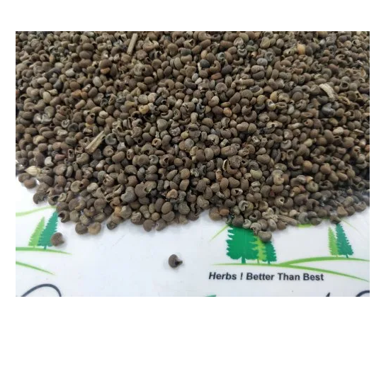Ambrette Seeds, for Ayurveda, Aroma / Perfumery at Rs 155 / Kilogram in ...