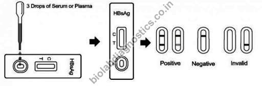 BIOLAB RAPID HBsAg CARD TEST at Rs 8 / piece in Mumbai | BIOLAB ...