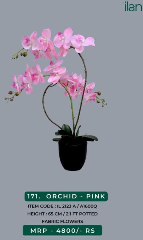 Orchid - Pink 2123 A Artificial Plants at Rs 1000 in Surat - ID: 6908101