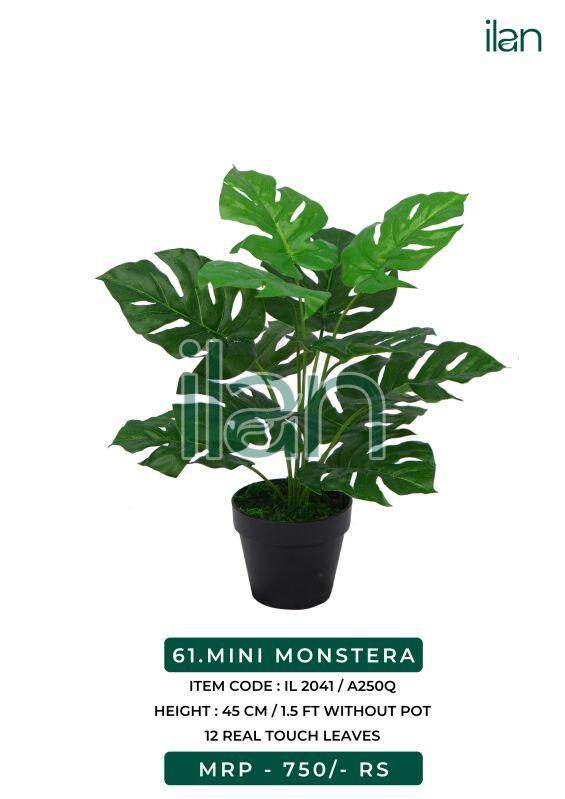 Mini Monstera Artificial Plants, Feature : Easy Washable at Rs 250 in ...
