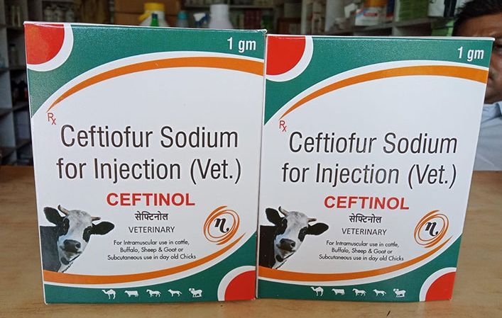 Ceftinol Veterinary Injection, Packaging Type : Box at Best Price in ...
