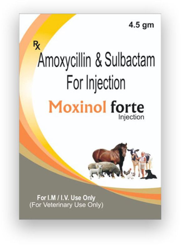Moxinol-Forte Veterinary Injection For To Animals at Best Price in ...
