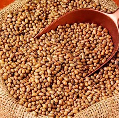 Turkish Gram For Cooking at Rs 50 in Morbi - ID: 7647047 | Agh Food ...