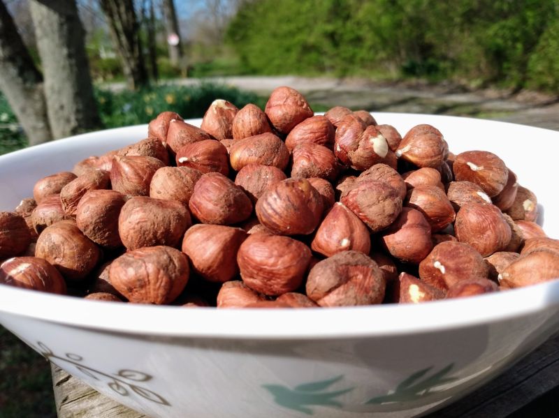 Hazelnut, Taste : Light Sweet at Rs 1000 in Srinagar - ID: 7656371 ...