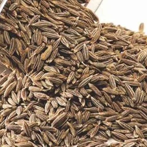 Raw Organic Dried Cumin Seeds For Cooking at Rs 325 in Barmer - ID: 7650184
