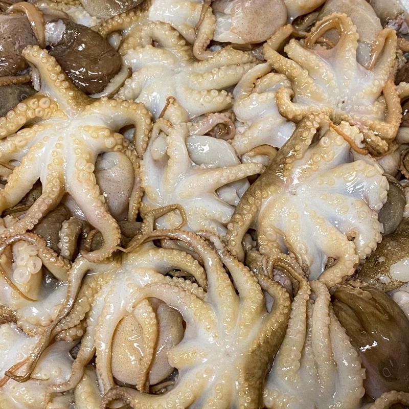 Frozen Octopus For Cooking., Food, Human Consumption at Rs 900 in ...