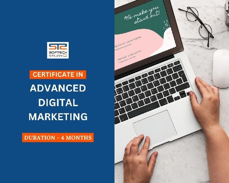 Softech Study in Delhi - Service Provider of Digital Marketing Training & website designing training