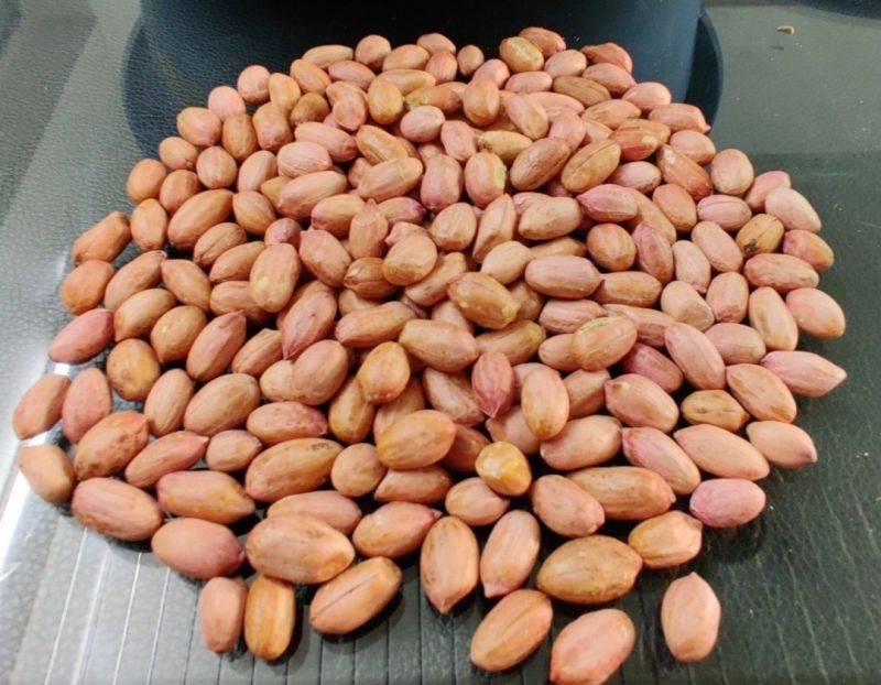 Natural Java Peanuts, Color : Light Red, Red, White at Rs 80 in ...