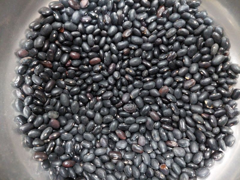 Natural Black Matpe Beans For Cooking at Rs 80 in Chennai - ID: 7694294
